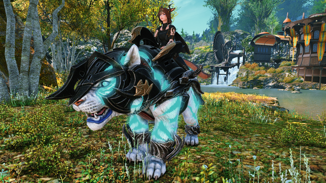 Moon-hopper Identification Key